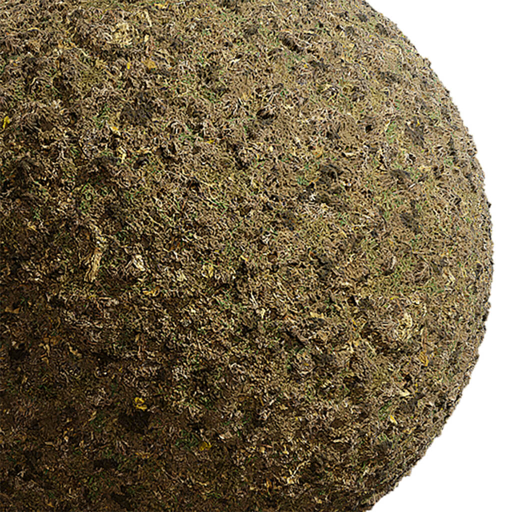 Ground Seamless Texture 2K (2048*2048) - EXR 5 - JPG 5 by model789