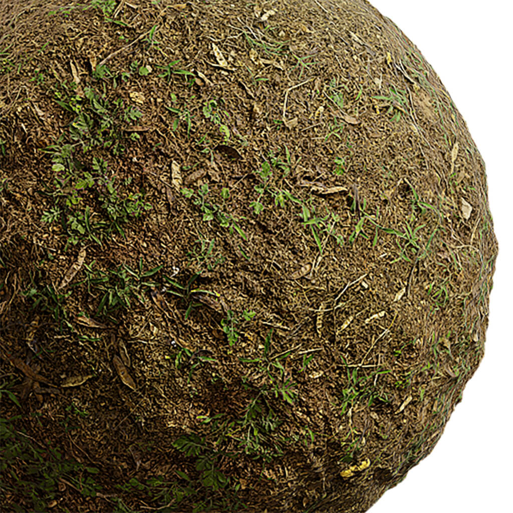 Ground Seamless Texture 2K (2048*2048) - EXR 5 - JPG 5 by model789