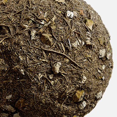 Ground Seamless Texture 2K (2048*2048) - EXR 5 - JPG 5 by model789