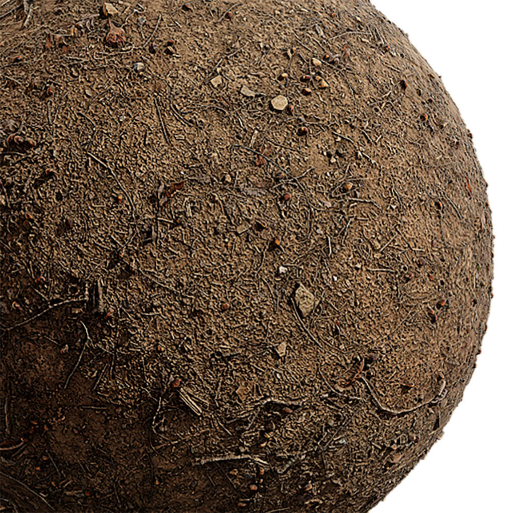 Ground Seamless Texture 2K (2048*2048) - EXR 5 - JPG 5 by model789