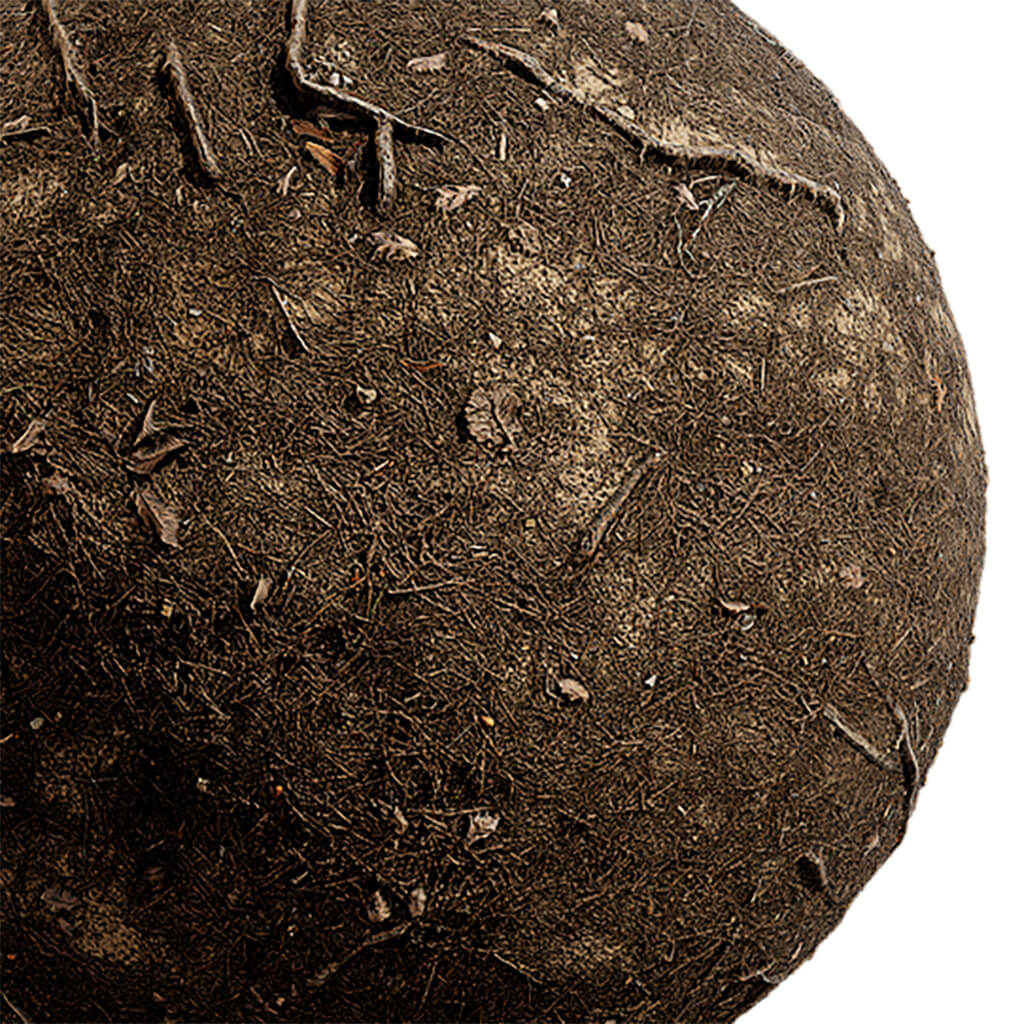 Ground Seamless Texture 2K (2048*2048) - EXR 5 - JPG 5 by model789