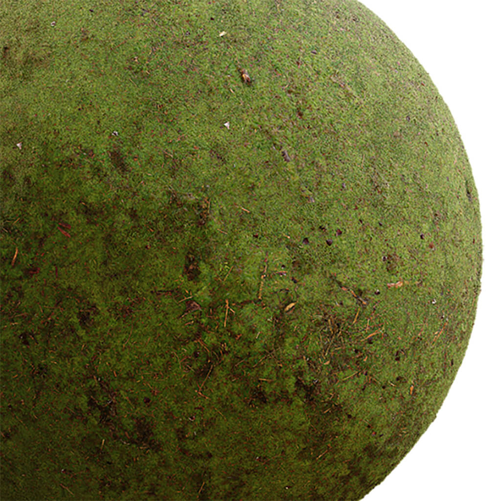 Ground Seamless Texture 2K (2048*2048) - EXR 5 - JPG 5 by model789