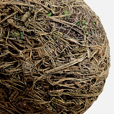 Ground Seamless Texture 2K (2048*2048) - EXR 5 - JPG 5 by model789