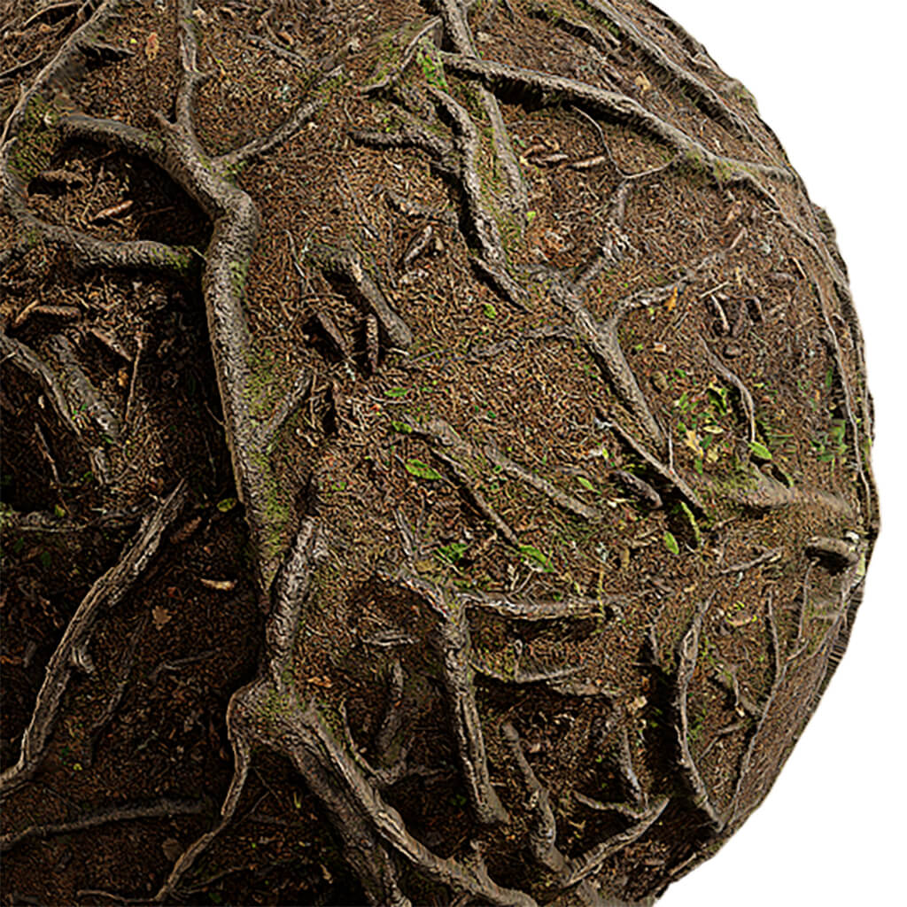 Ground Seamless Texture 2K (2048*2048) - EXR 5 - JPG 5 by model789