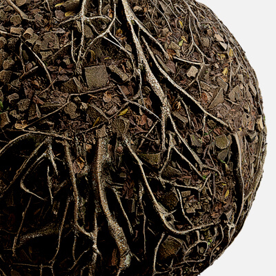 Mossy Ground Seamless Texture by chamsb11