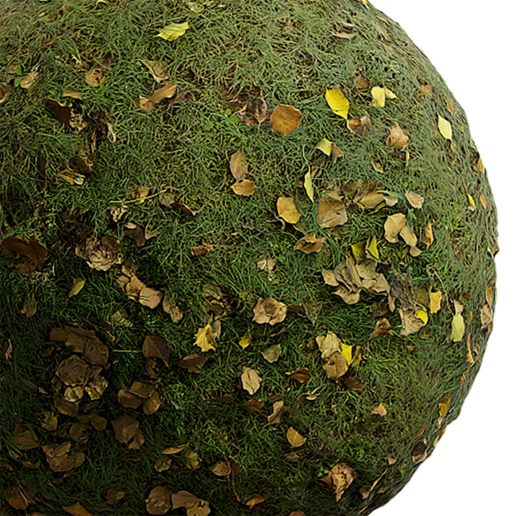 Ground Seamless Texture 2K (2048*2048) - EXR 5 - JPG 5 by model789