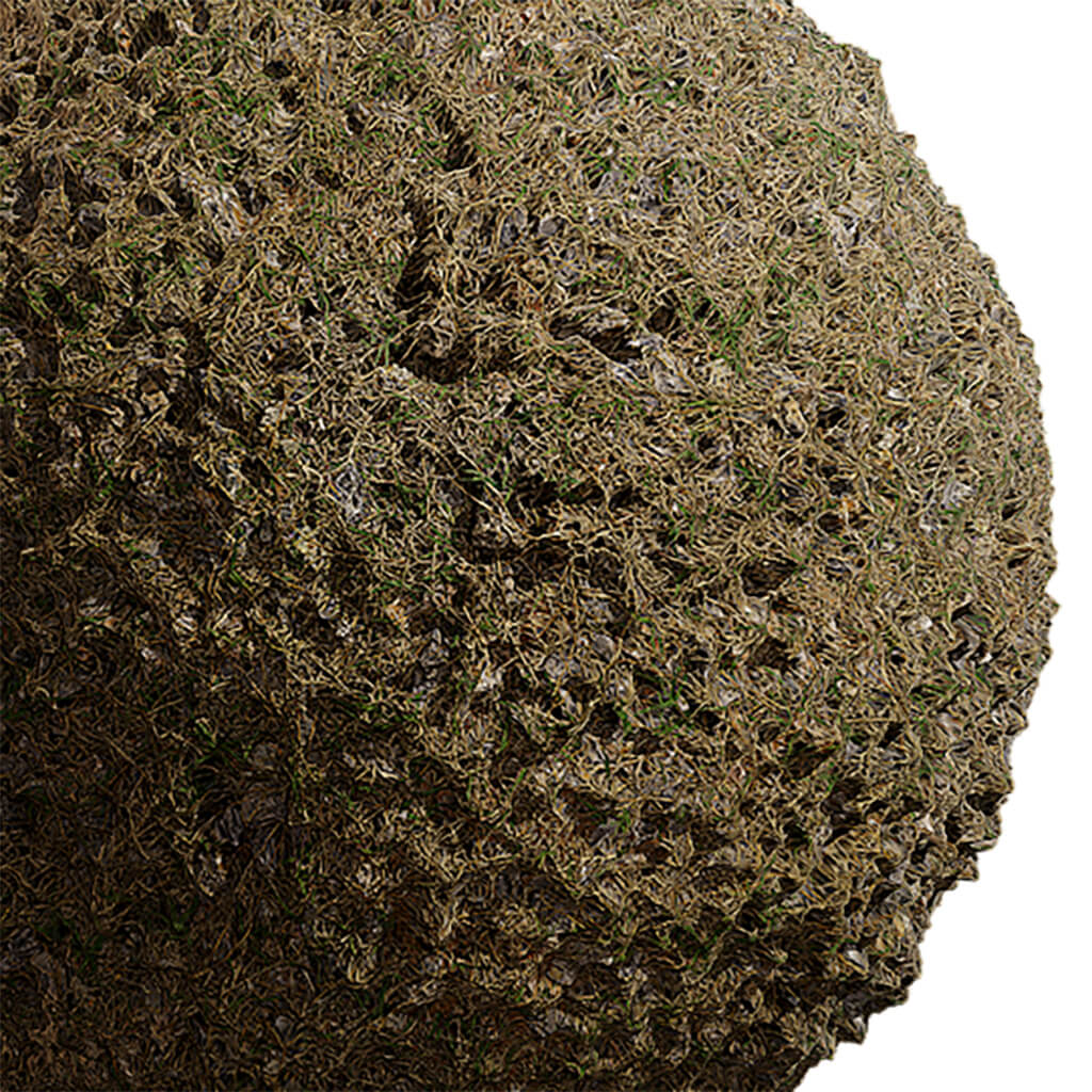 Ground Seamless Texture 2K (2048*2048) - EXR 5 - JPG 5 by model789