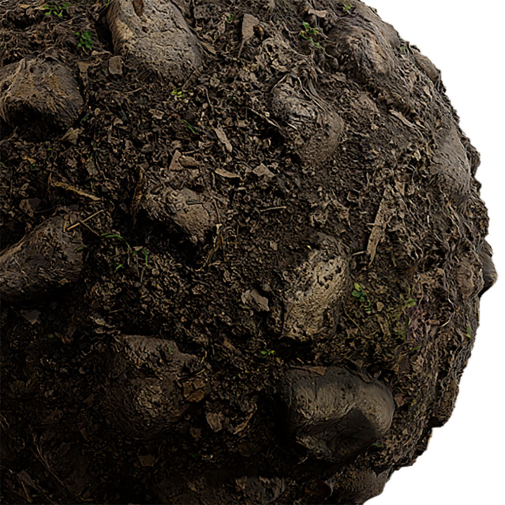 Ground Seamless Texture 2K (2048*2048) - EXR 5 - JPG 5 by model789