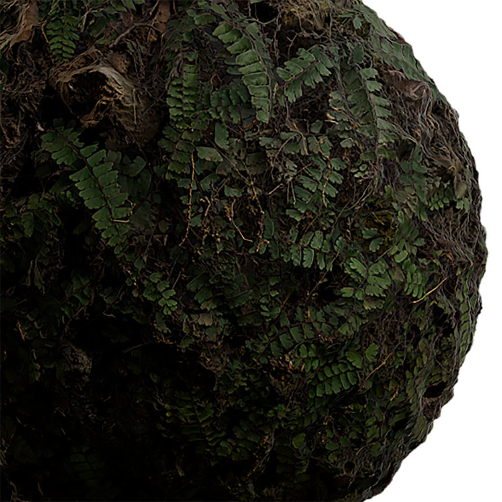 Ground Seamless Texture 2K (2048*2048) - EXR 5 - JPG 5 by model789