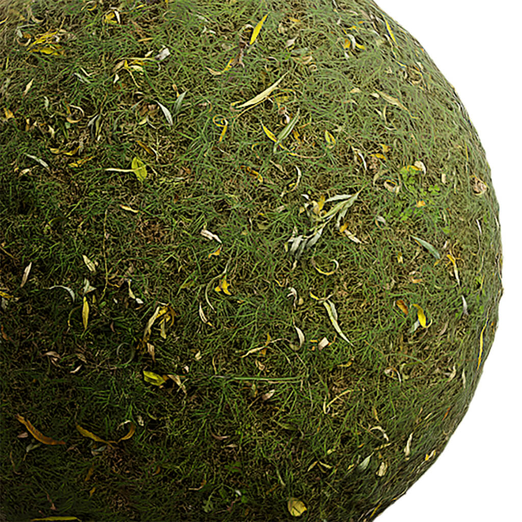 Ground Seamless Texture 2K (2048*2048) - EXR 5 - JPG 5 by model789