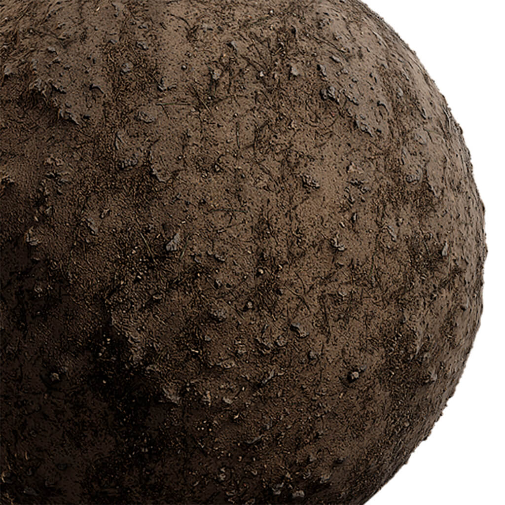Ground Seamless Texture 2K (2048*2048) - EXR 5 - JPG 5 by model789