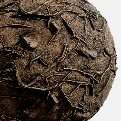 Ground Seamless Texture 2K (2048*2048) - EXR 5 - JPG 5 by model789