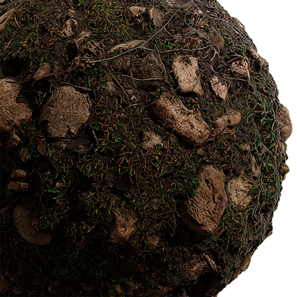 Ground Seamless Texture 2K (2048*2048) - EXR 5 - JPG 5 by model789