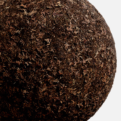 Ground Seamless Texture 2K (2048*2048) - EXR 5 - JPG 5 by model789