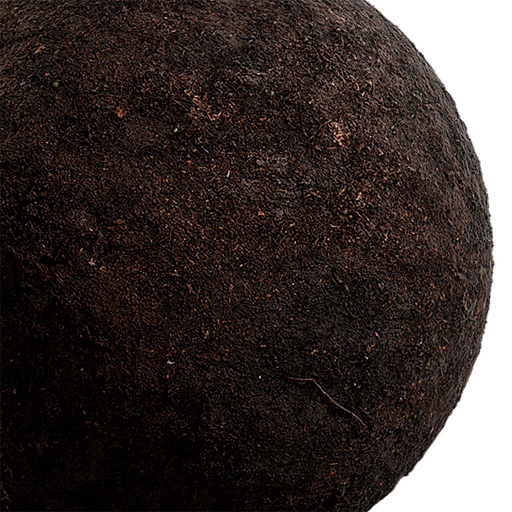 Ground Seamless Texture 2K (2048*2048) - EXR 5 - JPG 5 by model789