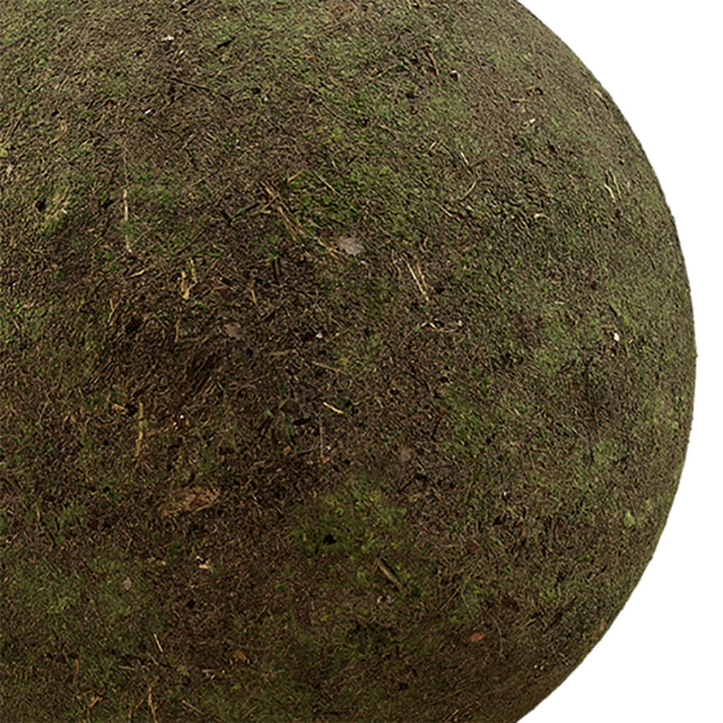 Ground Seamless Texture 2K (2048*2048) - EXR 5 - JPG 5 by model789