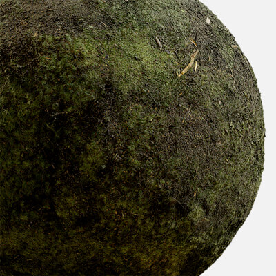 Stylized Wood Seamless Texture by zames1992d