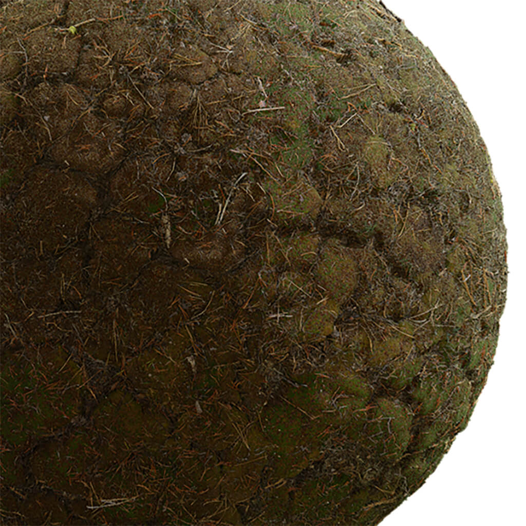 Ground Seamless Texture 2K (2048*2048) - EXR 5 - JPG 5 by model789