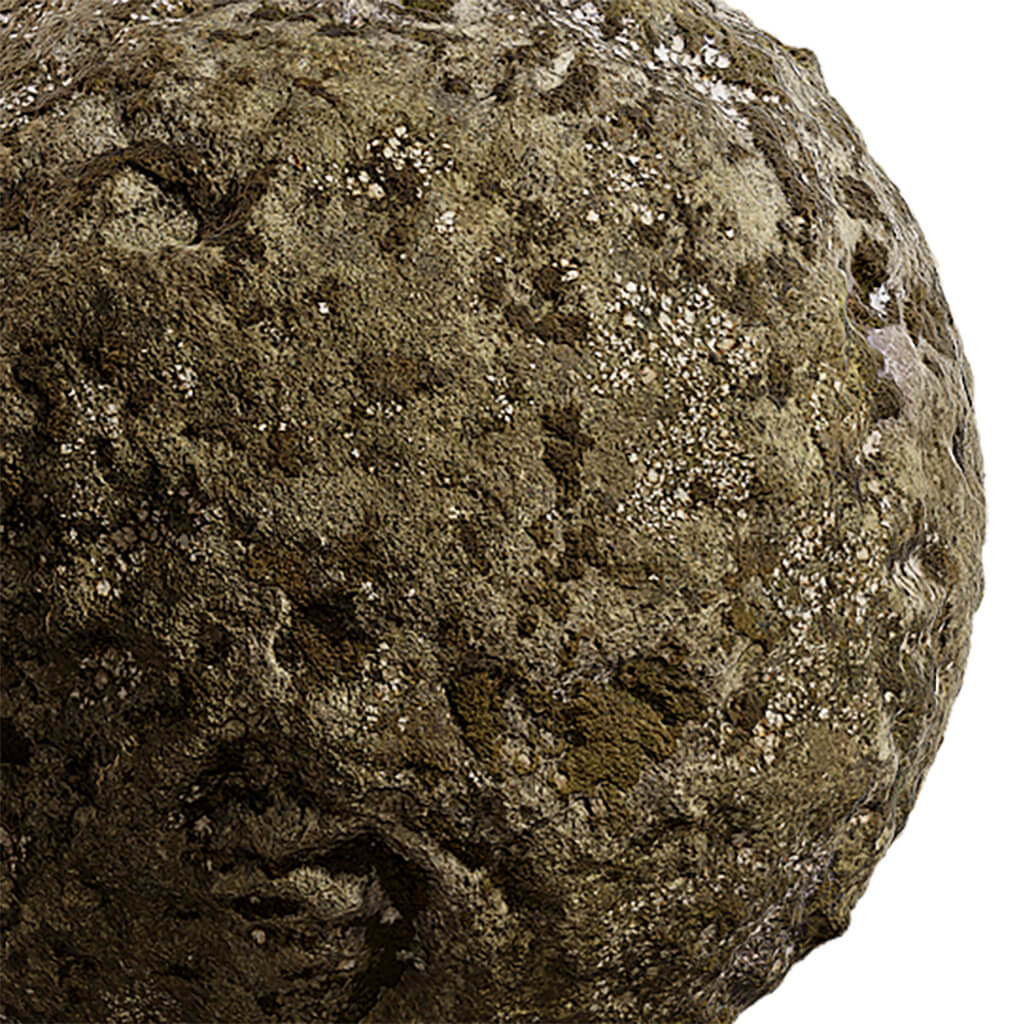 Moss Seamless Texture 2K (2048*2048) - EXR 5 - JPG 5 by model789