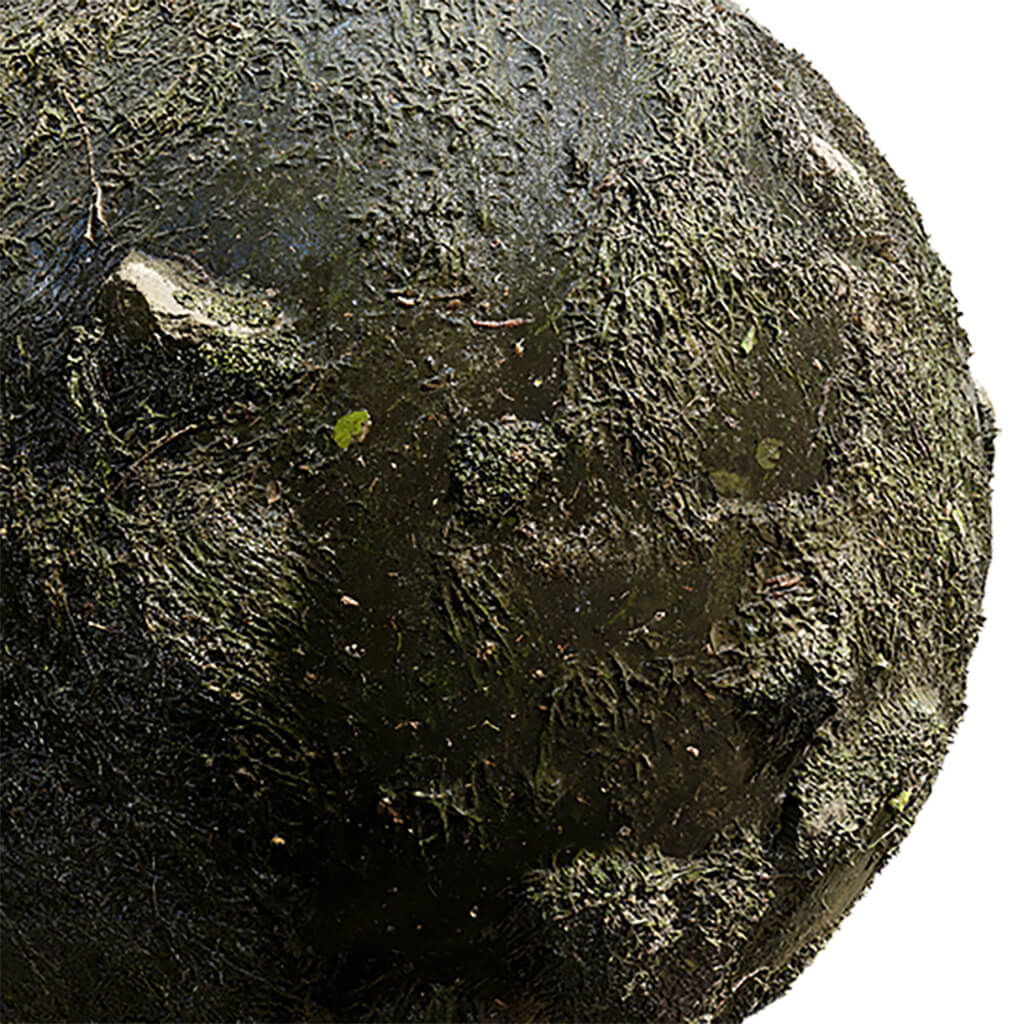 Moss Seamless Texture 2K (2048*2048) - EXR 5 - JPG 5 by model789