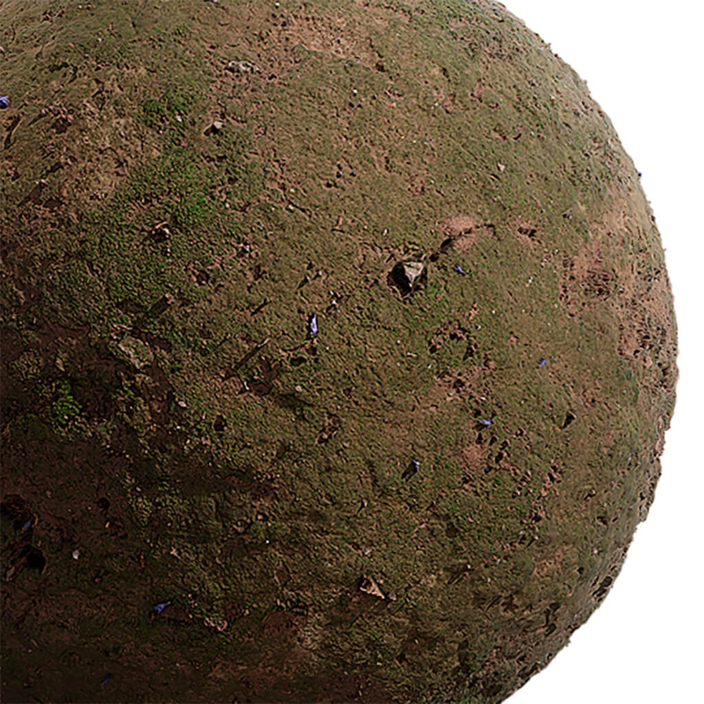 Moss Seamless Texture 2K (2048*2048) - EXR 5 - JPG 5 by model789