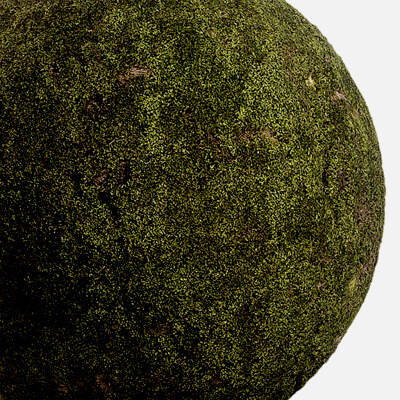 Seamless Textures | Textures | Moss | RenderHub