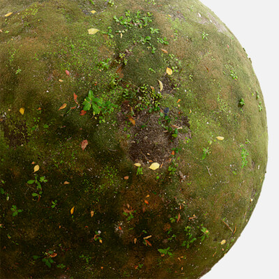 2K Textures | Textures | Moss | RenderHub