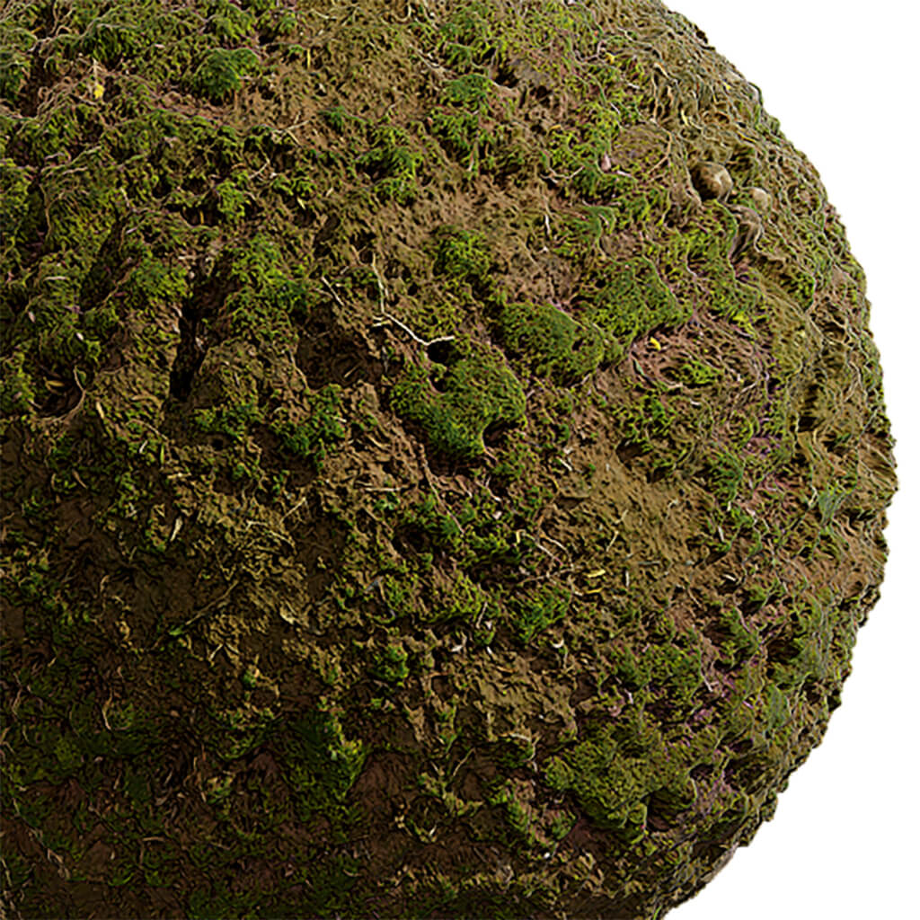 Moss Seamless Texture 2K (2048*2048) - EXR 5 - JPG 5 by model789