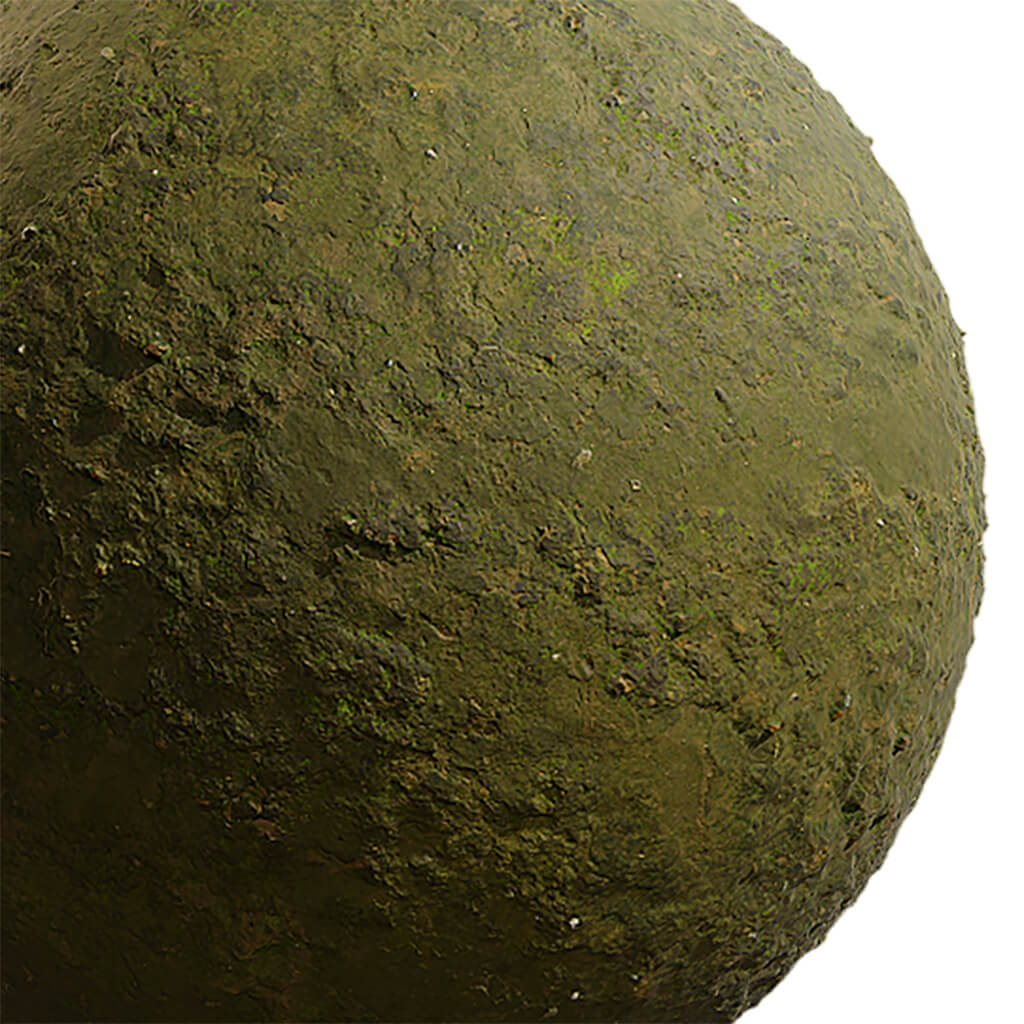 Moss Seamless Texture 2K (2048*2048) - EXR 5 - JPG 5 by model789
