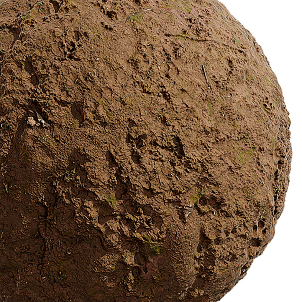 Moss Seamless Texture 2K (2048*2048) - EXR 5 - JPG 5 by model789