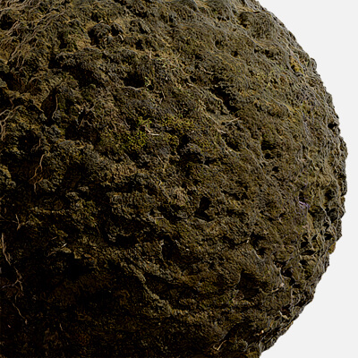 Seamless Textures | Textures | Moss | RenderHub