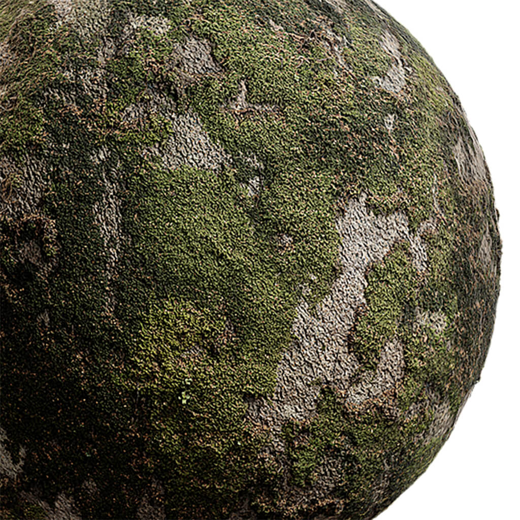 Moss Seamless Texture 2K (2048*2048) - EXR 5 - JPG 5 by model789