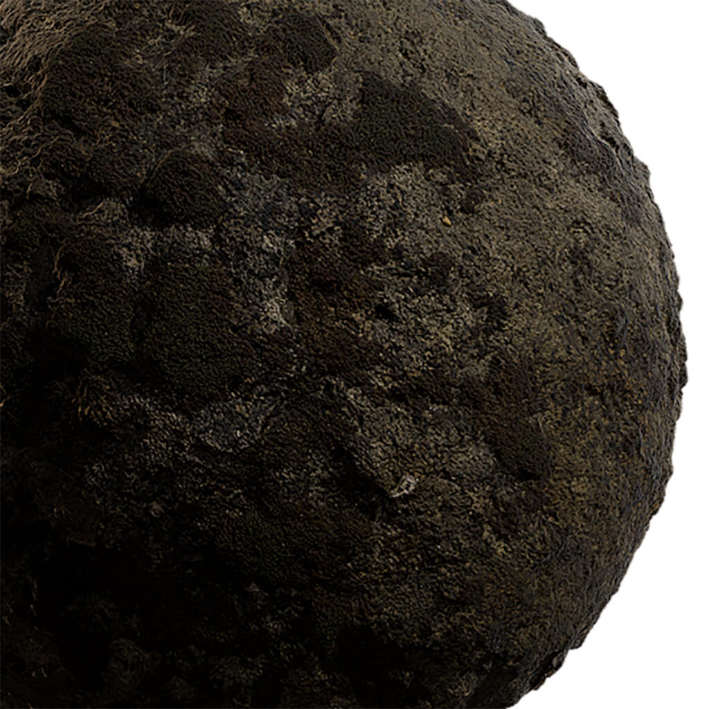Moss Seamless Texture 2K (2048*2048) - EXR 5 - JPG 5 by model789