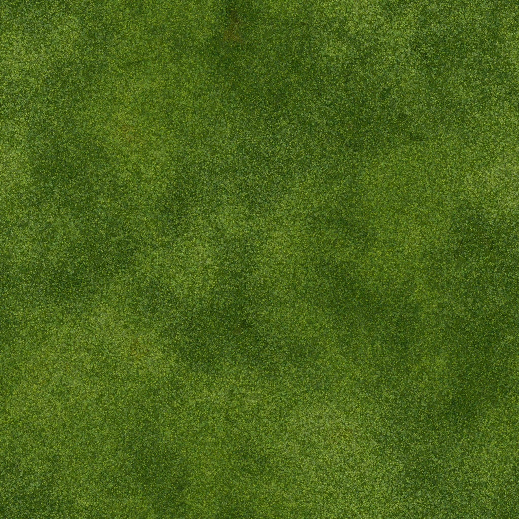 Moss Seamless Texture Patterns 2K (2048*2048) by model789