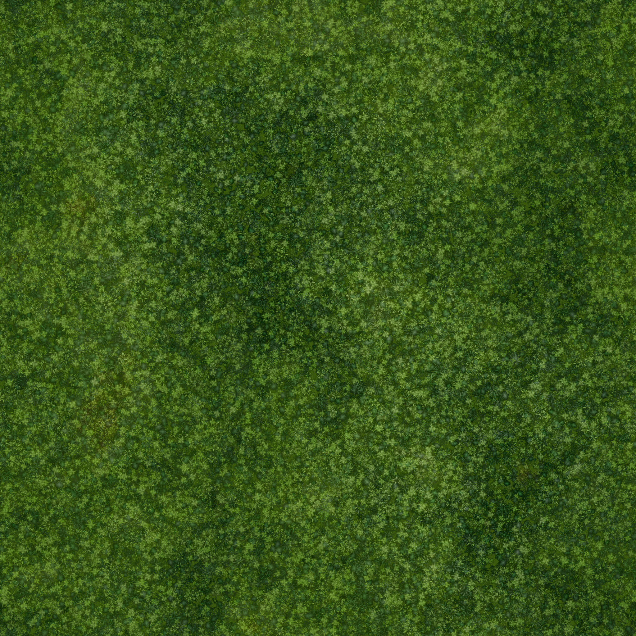 Moss Seamless Texture Patterns 2K (2048*2048) by model789