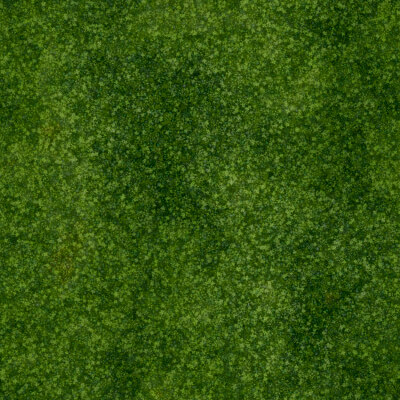 3D Textures | Textures | Moss | RenderHub