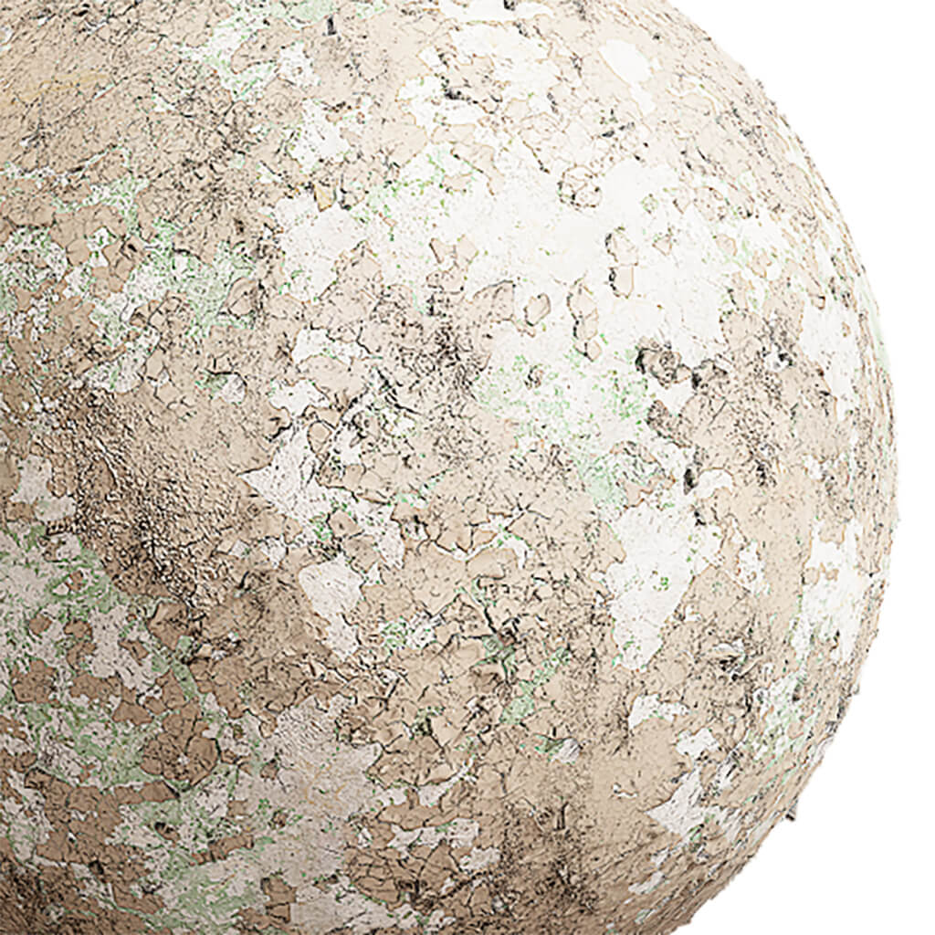 Plaster Seamless Texture 2K (2048*2048) - EXR 5 - JPG 5 by model789