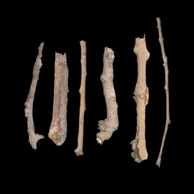 3D Textures | Textures | Sticks | RenderHub