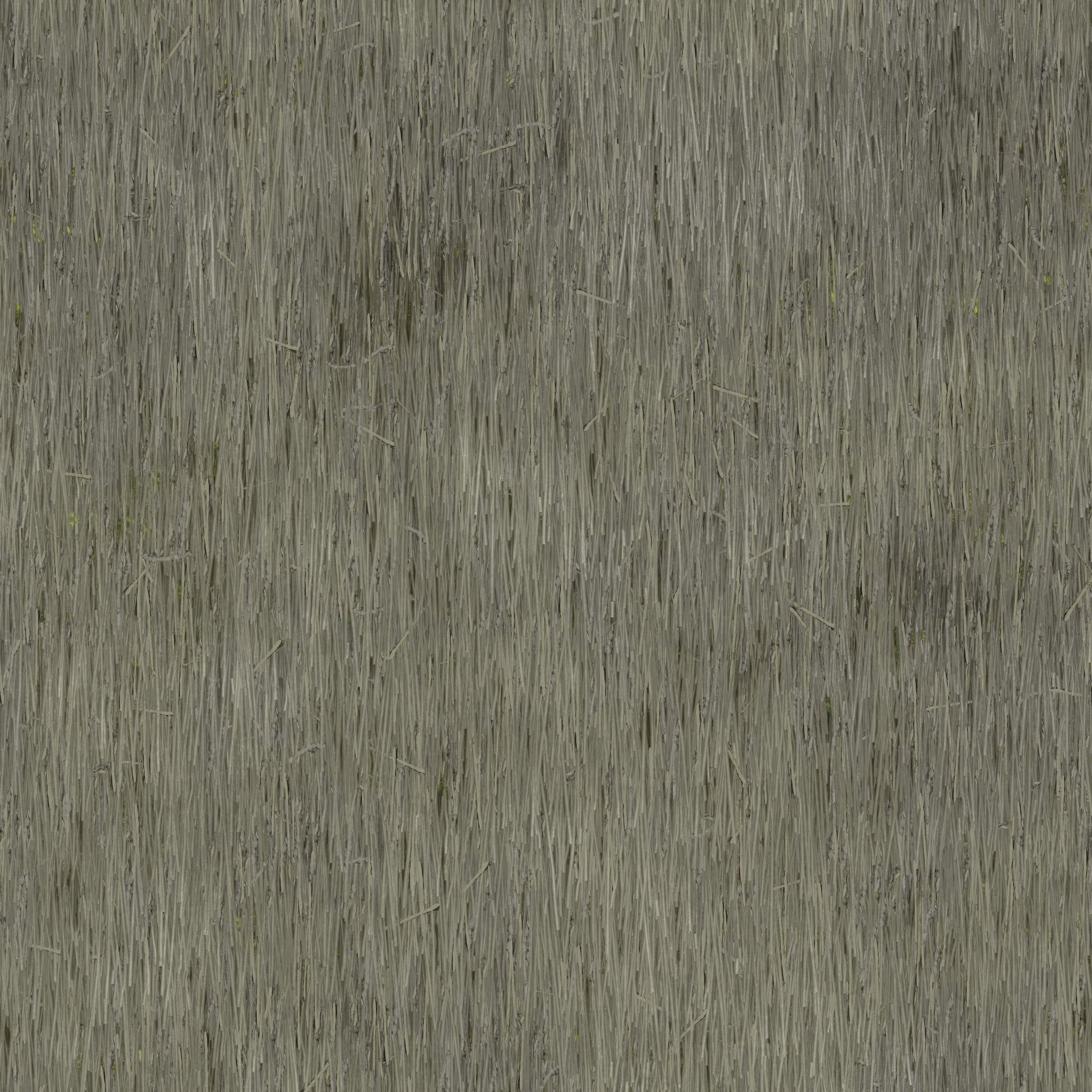 Thatchedroof Seamless Texture Patterns 2K (2048*2048) by model789