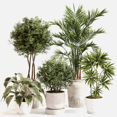 Indoor Plant Set 0153 - 3D Model by mojdeh feyzi