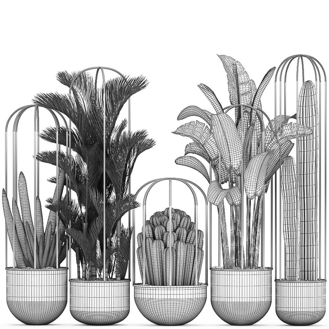 Collection of Plants - 3D Model by moliamod