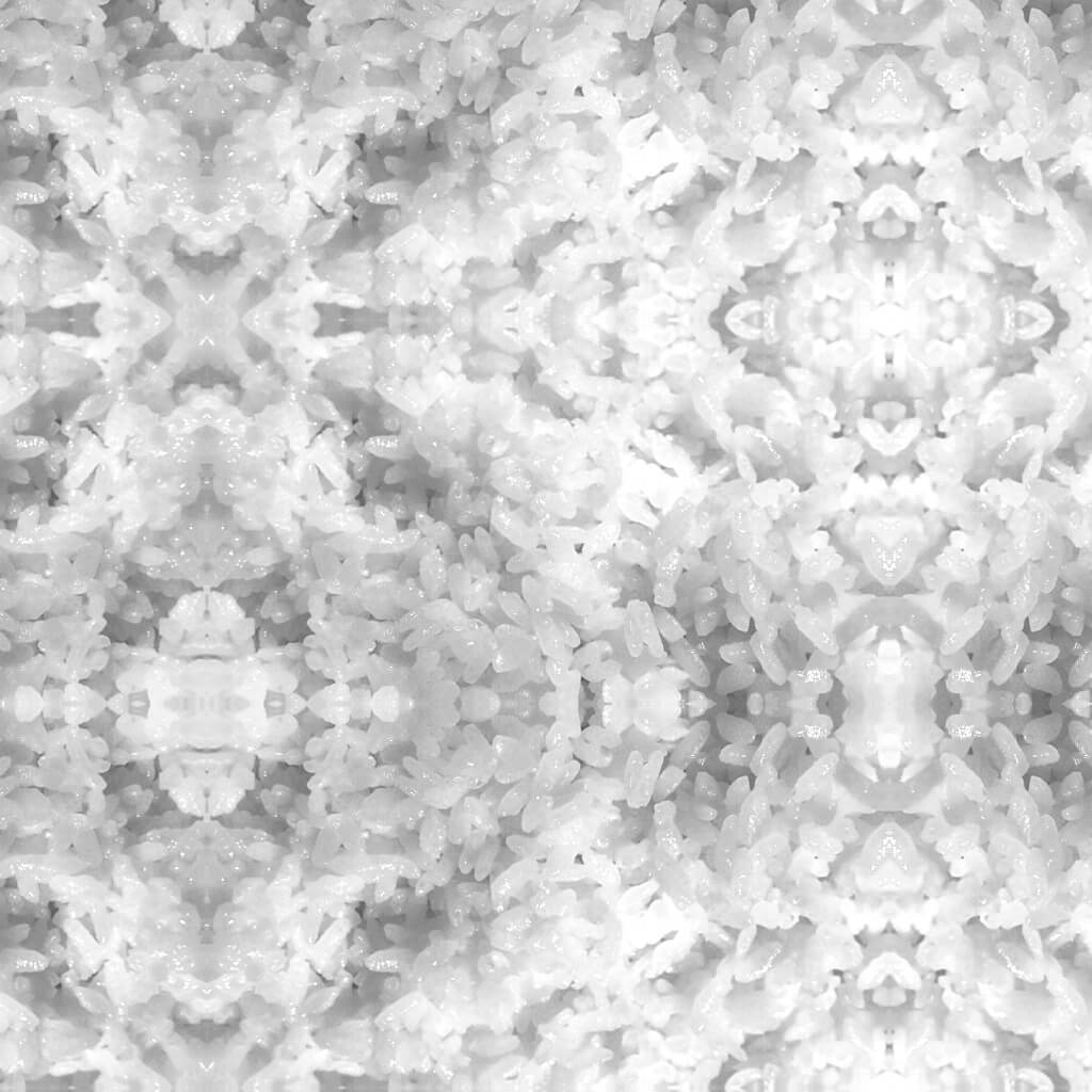 Rice Texture 1K by monji1004