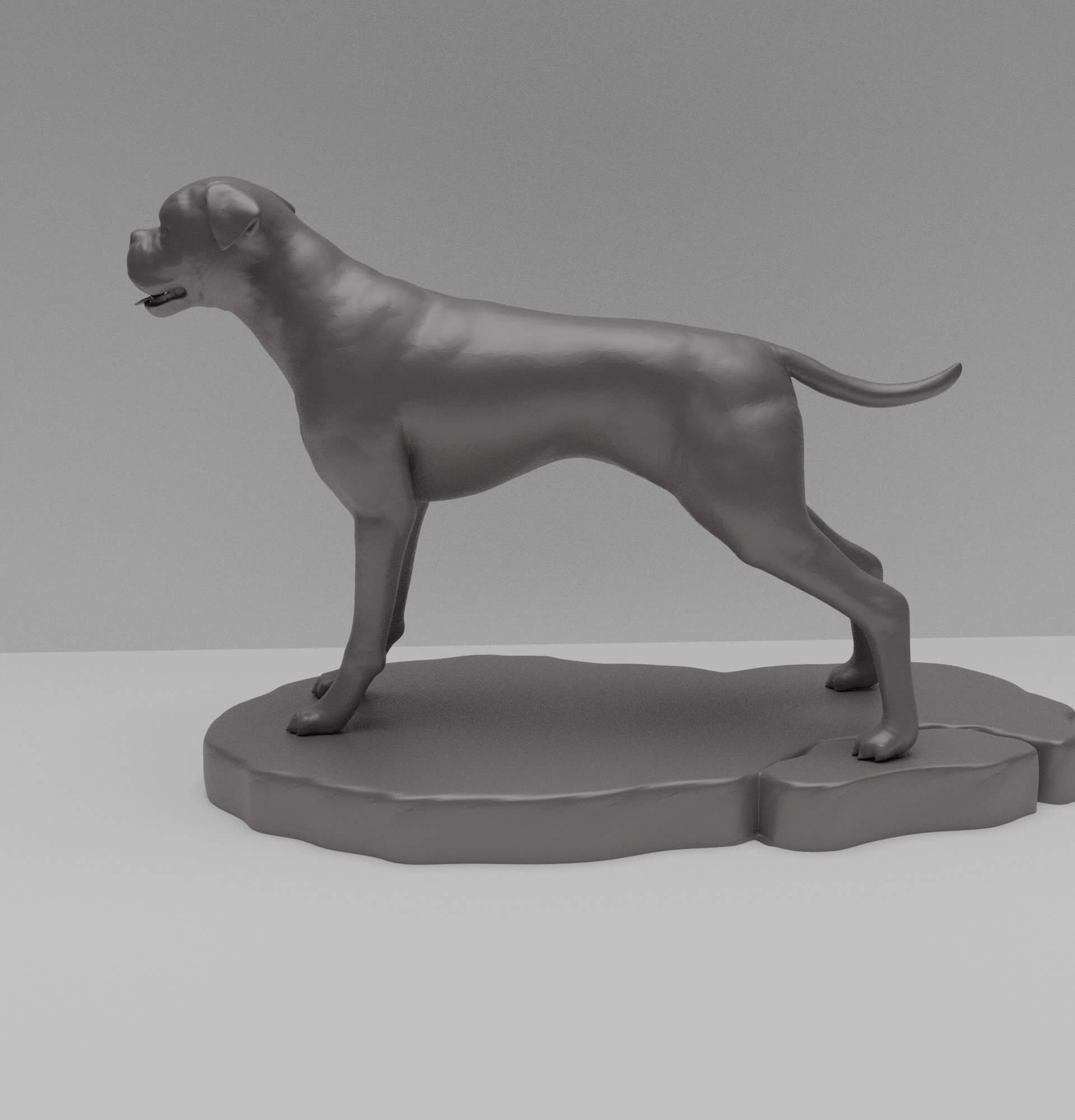 Boxer Dog - 3D Model by Moogar
