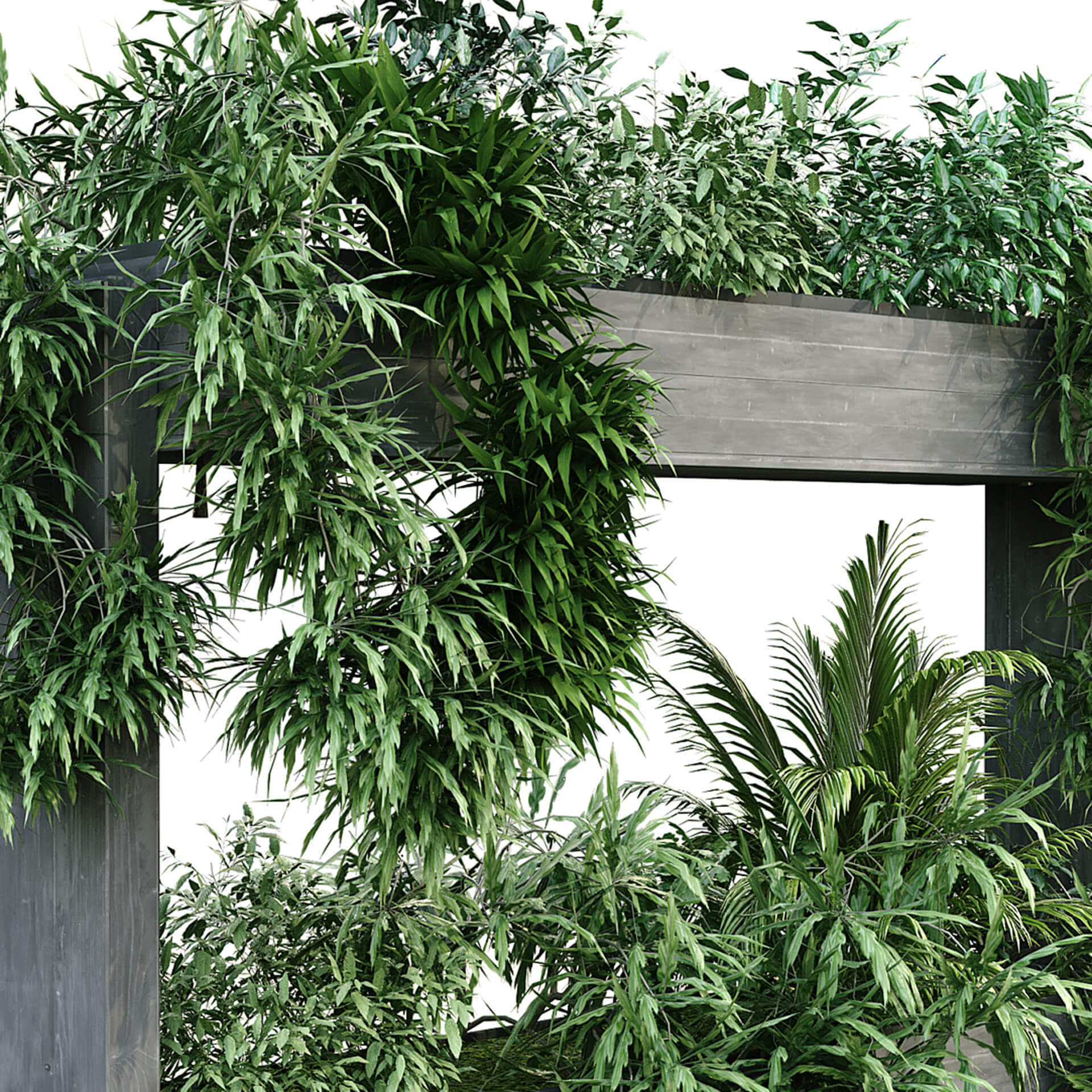 vertical plant set 2 - 3D Model by moradalia