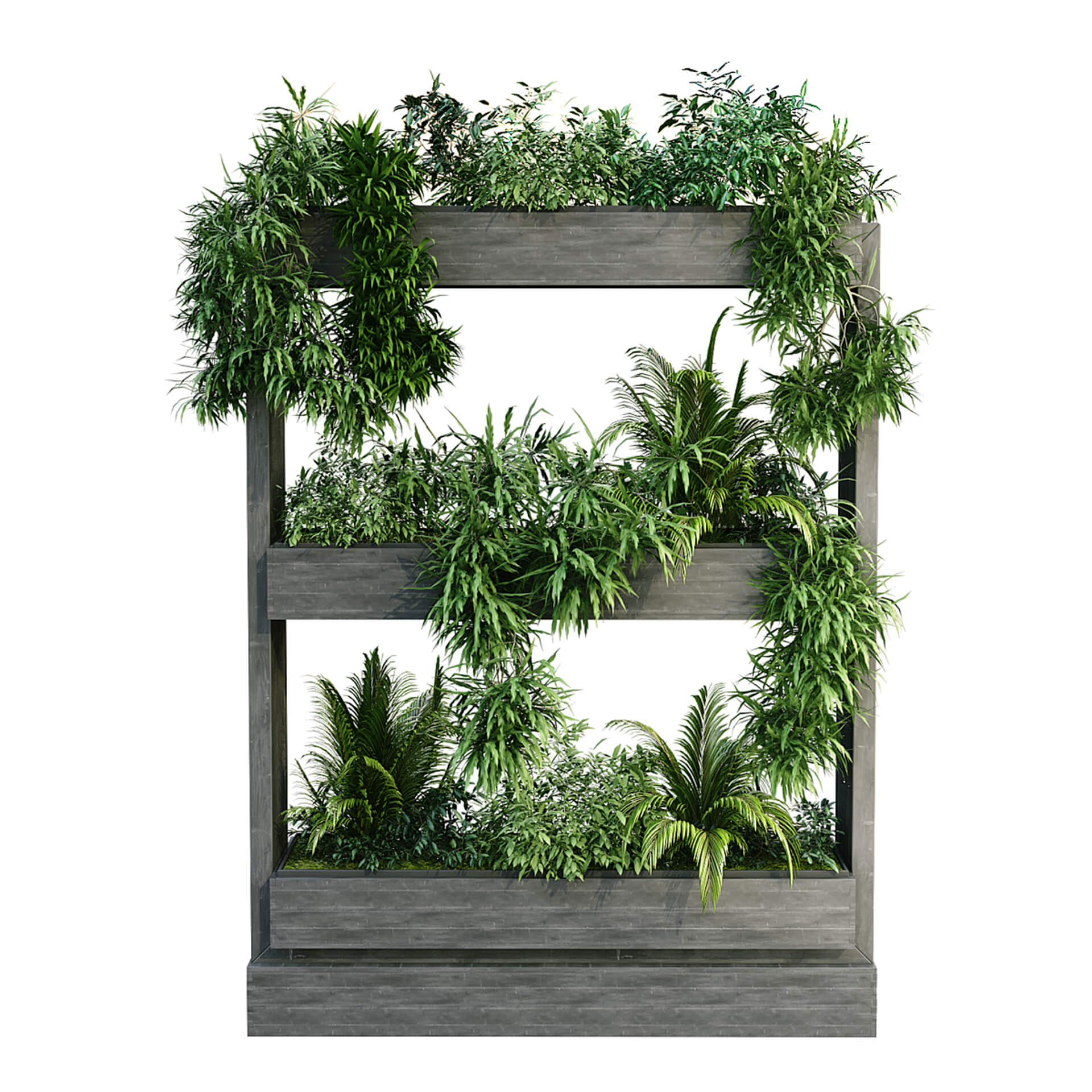 vertical plant set 2 - 3D Model by moradalia