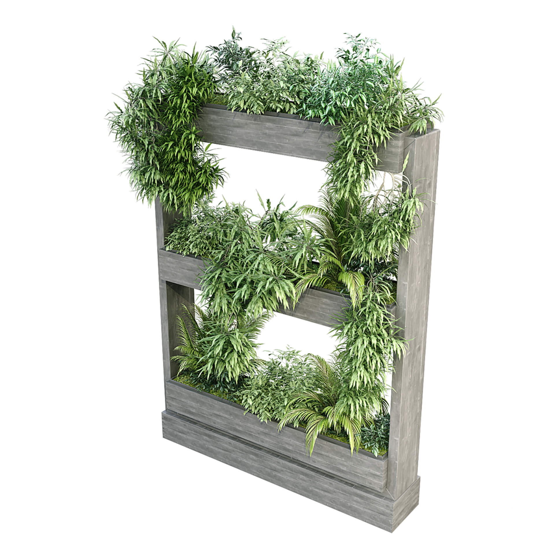 vertical plant set 2 - 3D Model by moradalia
