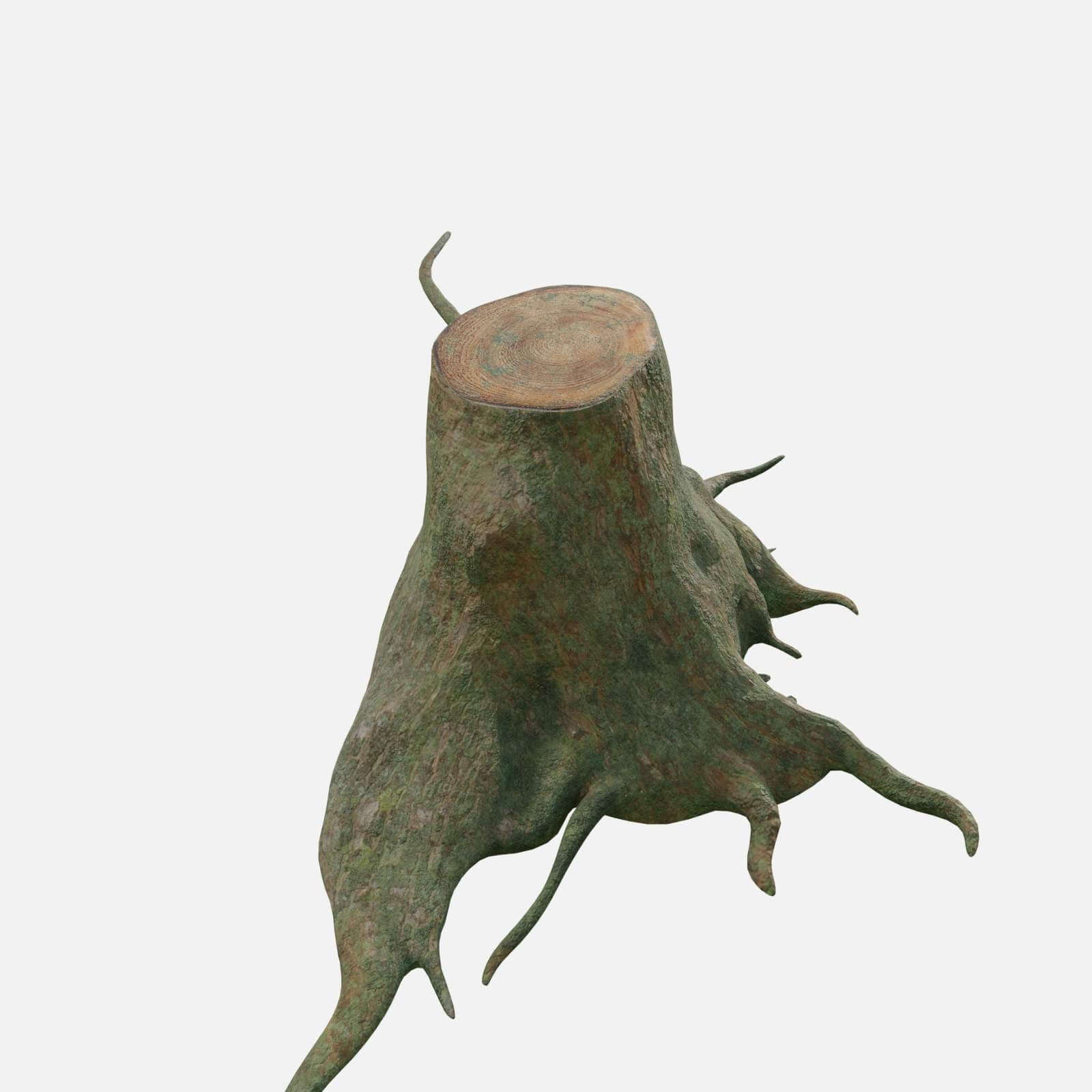 Tree Root - 3D Model by morejojo