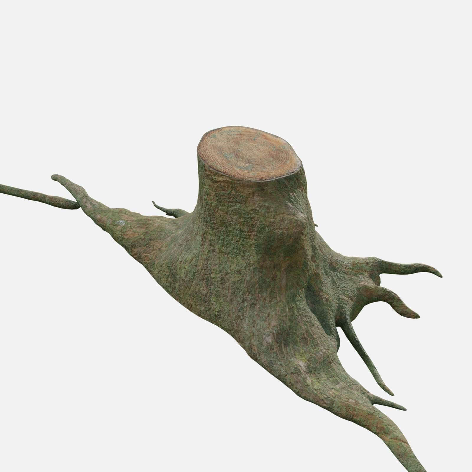 Tree Root - 3D Model by morejojo