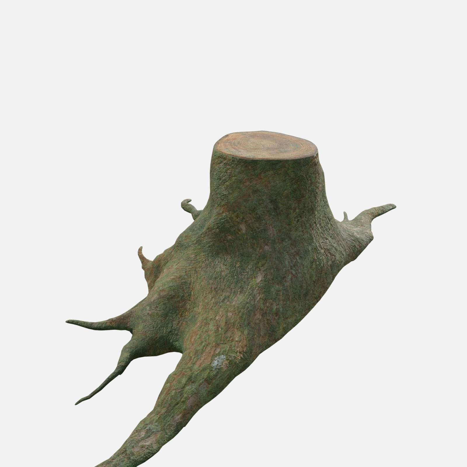 Tree Root - 3D Model by morejojo