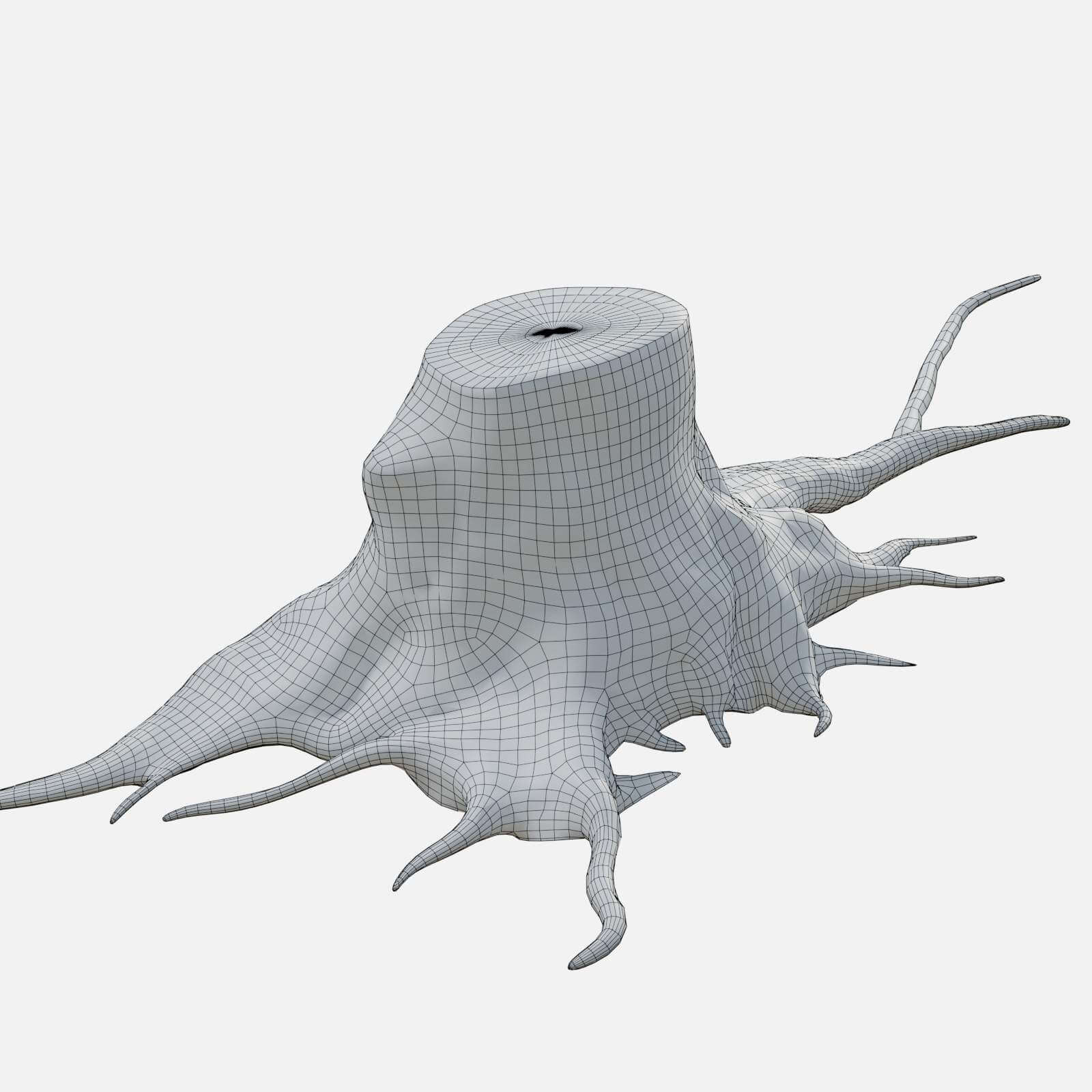 Tree Root - 3D Model by morejojo